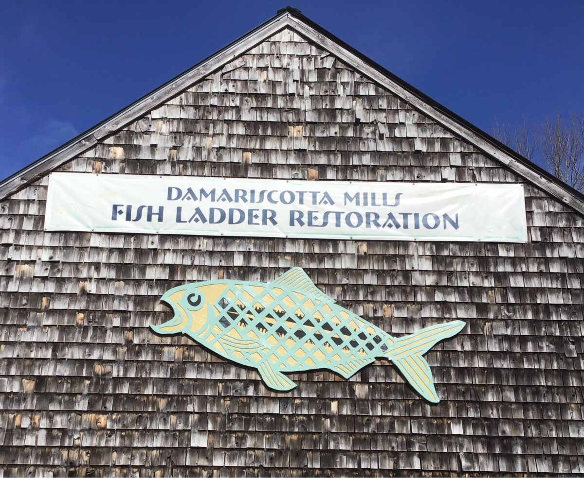 Damariscotta Mills Fish Ladder Restoration